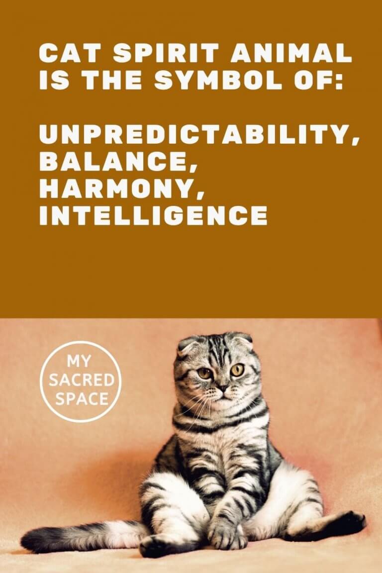 What Does a Cat Spirit Animal Mean and Symbolize?