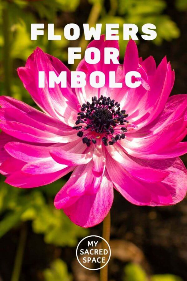What Is Imbolc All About?