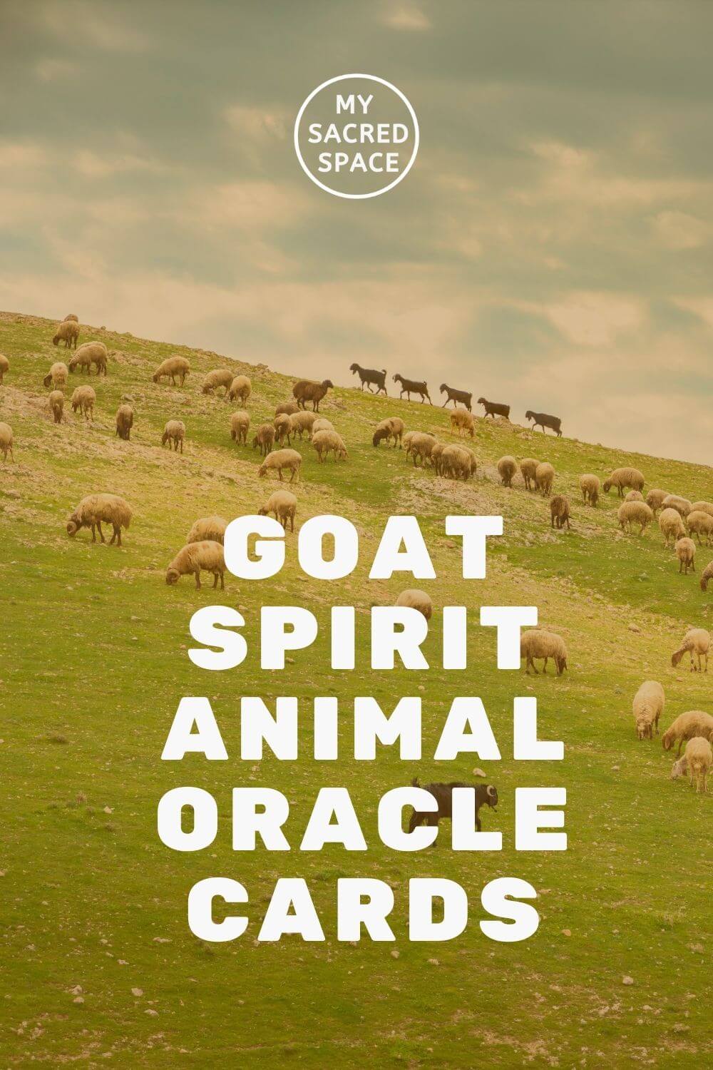 What Does a Goat Spirit Animal Mean and Symbolize? - My Sacred Space Design