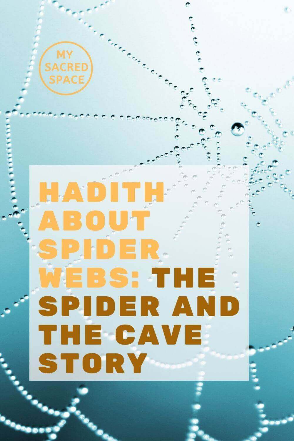 What Does a Spider Spirit Animal Mean and Symbolise?