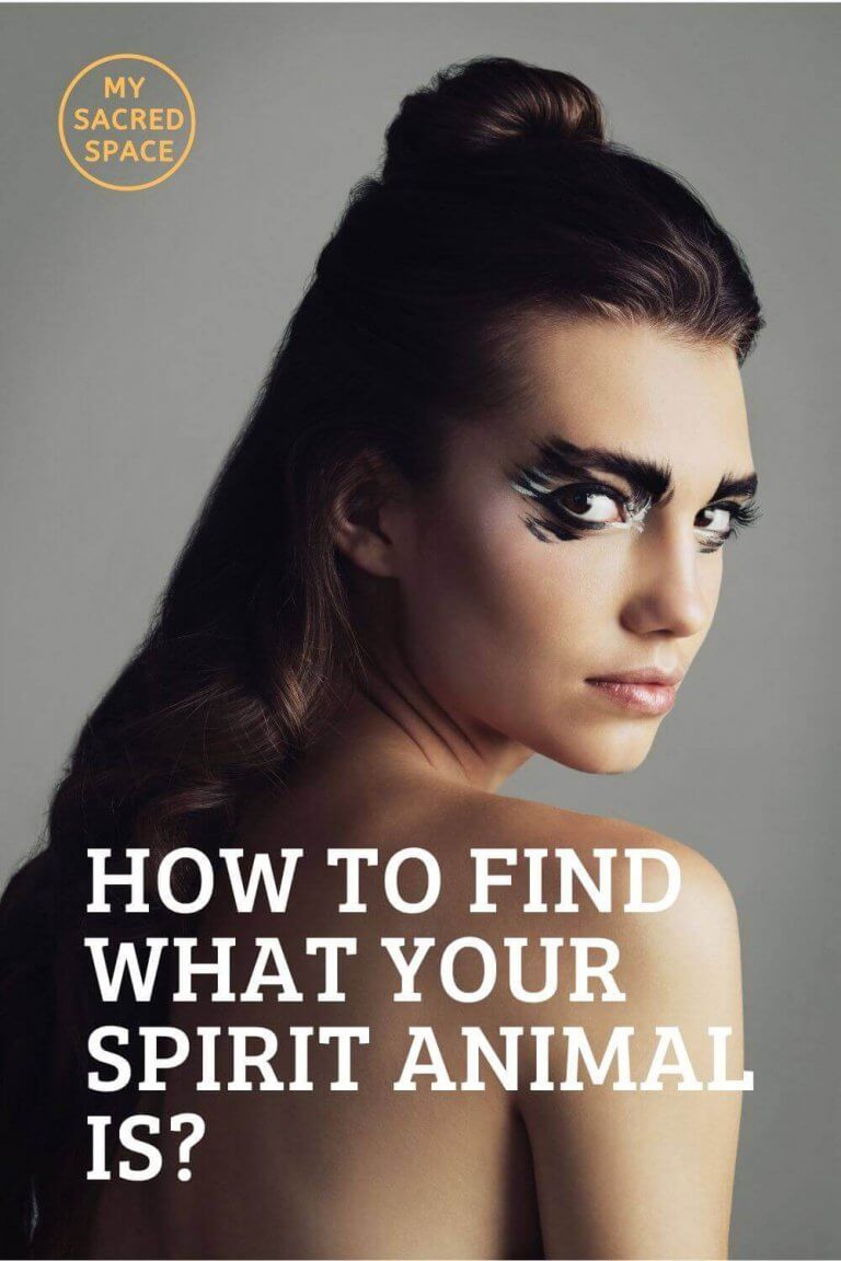 How To Find What Your Spirit Animal Is?