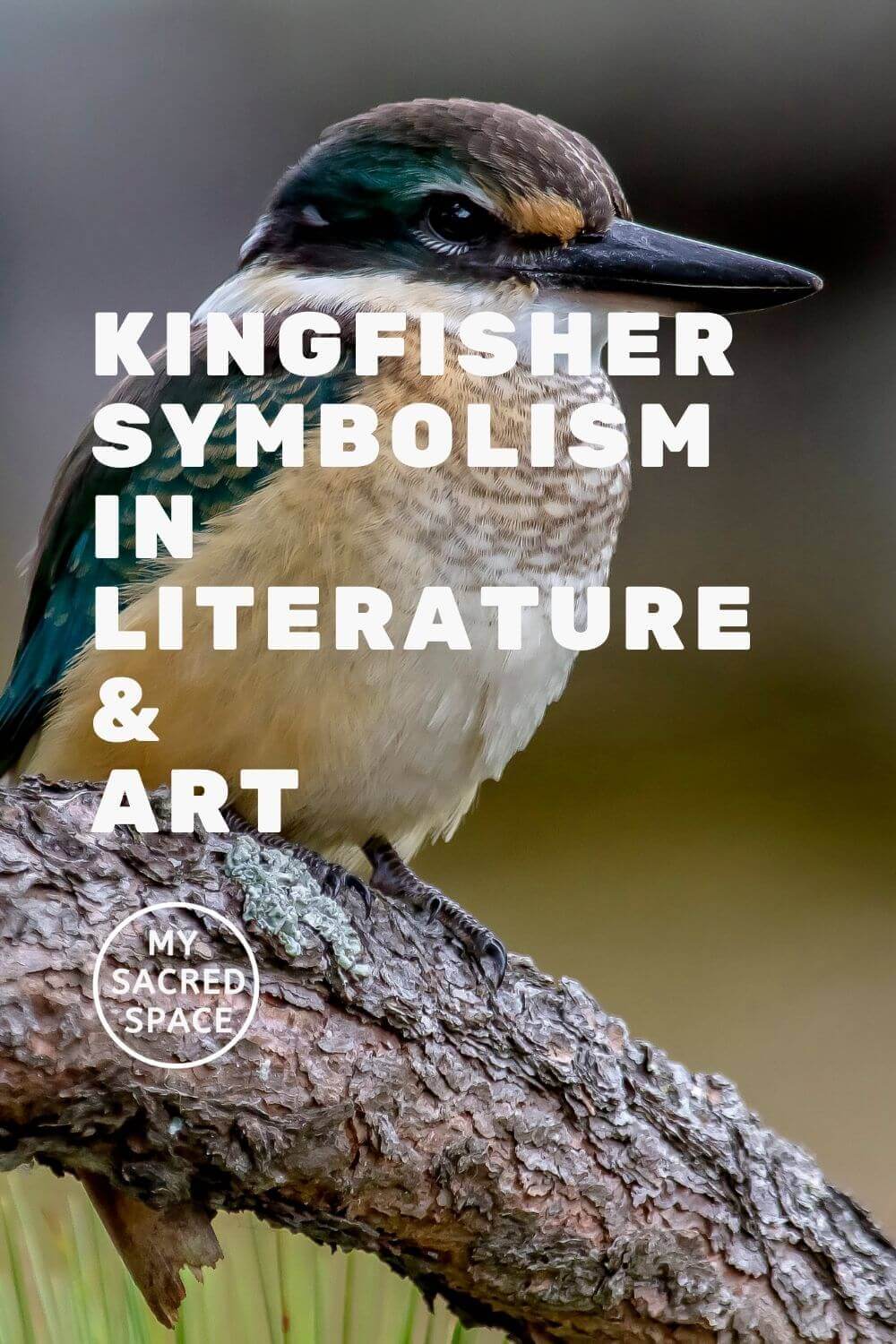 What Does a Kingfisher and Kookaburra Spirit Animals Mean and Symbolize?