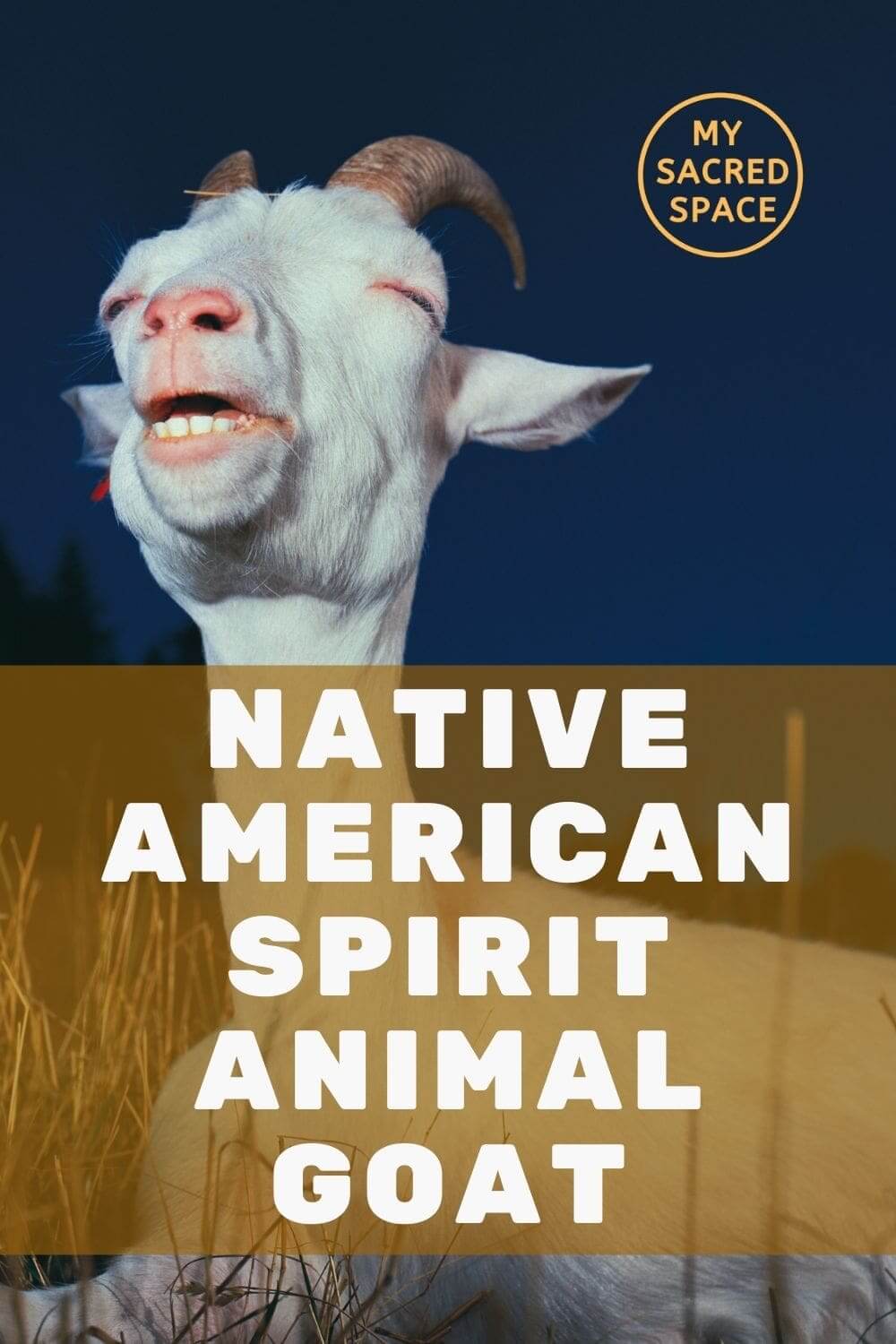 What Does a Goat Spirit Animal Mean and Symbolize? - My Sacred Space Design