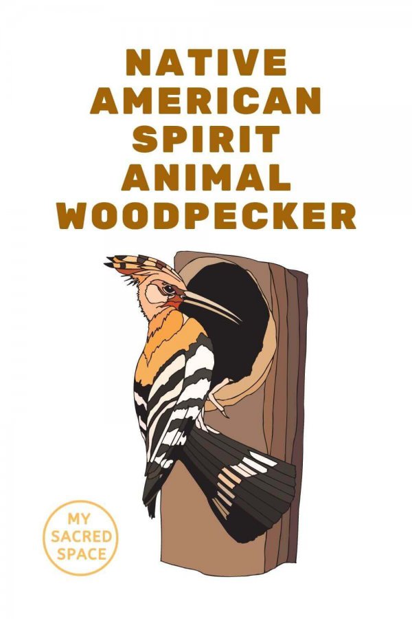 What Does a Woodpecker Spirit Animal Mean and Symbolize? - My Sacred ...
