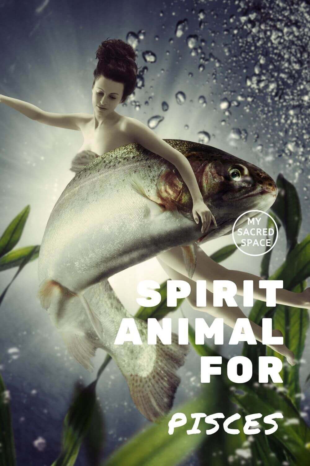 Spirit Animals Zodiac Signs