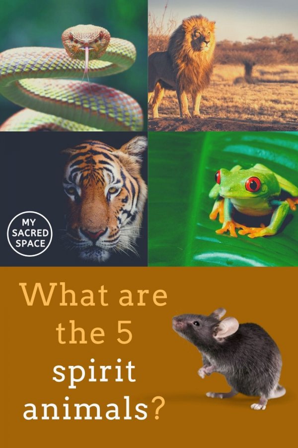 How To Find What Your Spirit Animal Is?