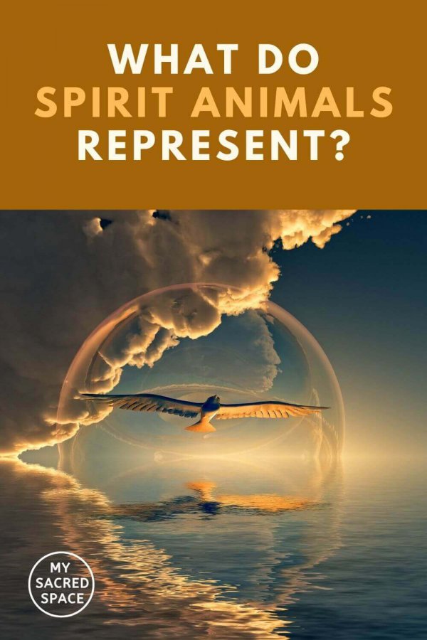 What Is the Purpose of A Spirit Animal?