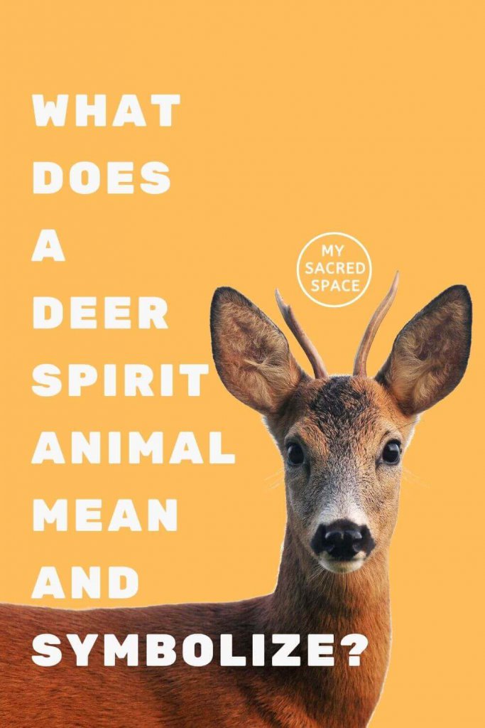 What Does a Deer Spirit Animal Mean and Symbolize?