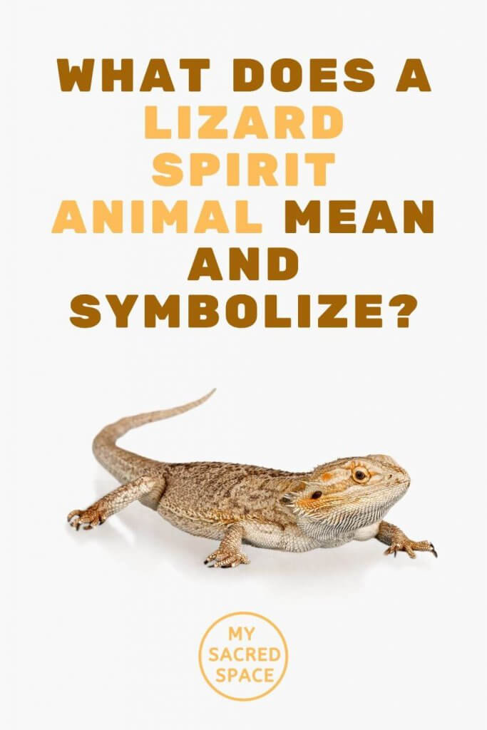 What Does a Lizard Spirit Animal Mean and Symbolize?
