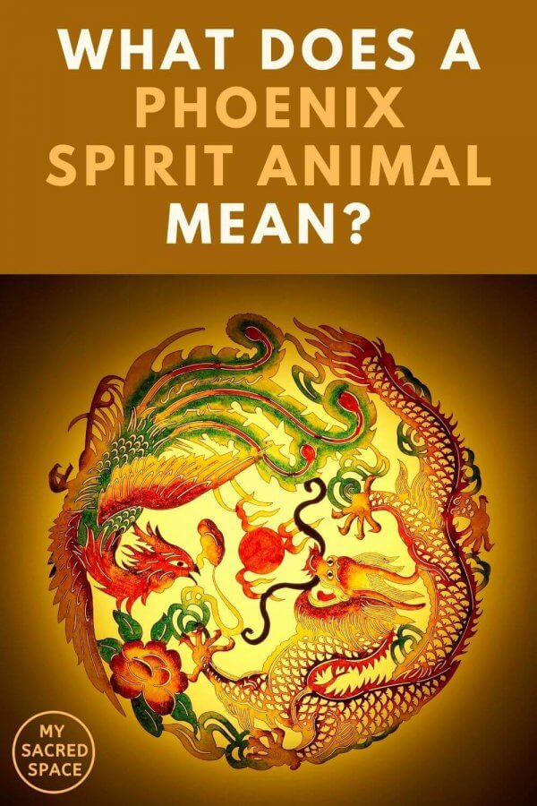 What Phoenix Means and What Does Phoenix Represent?