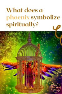 What Phoenix Means and What Does Phoenix Represent?
