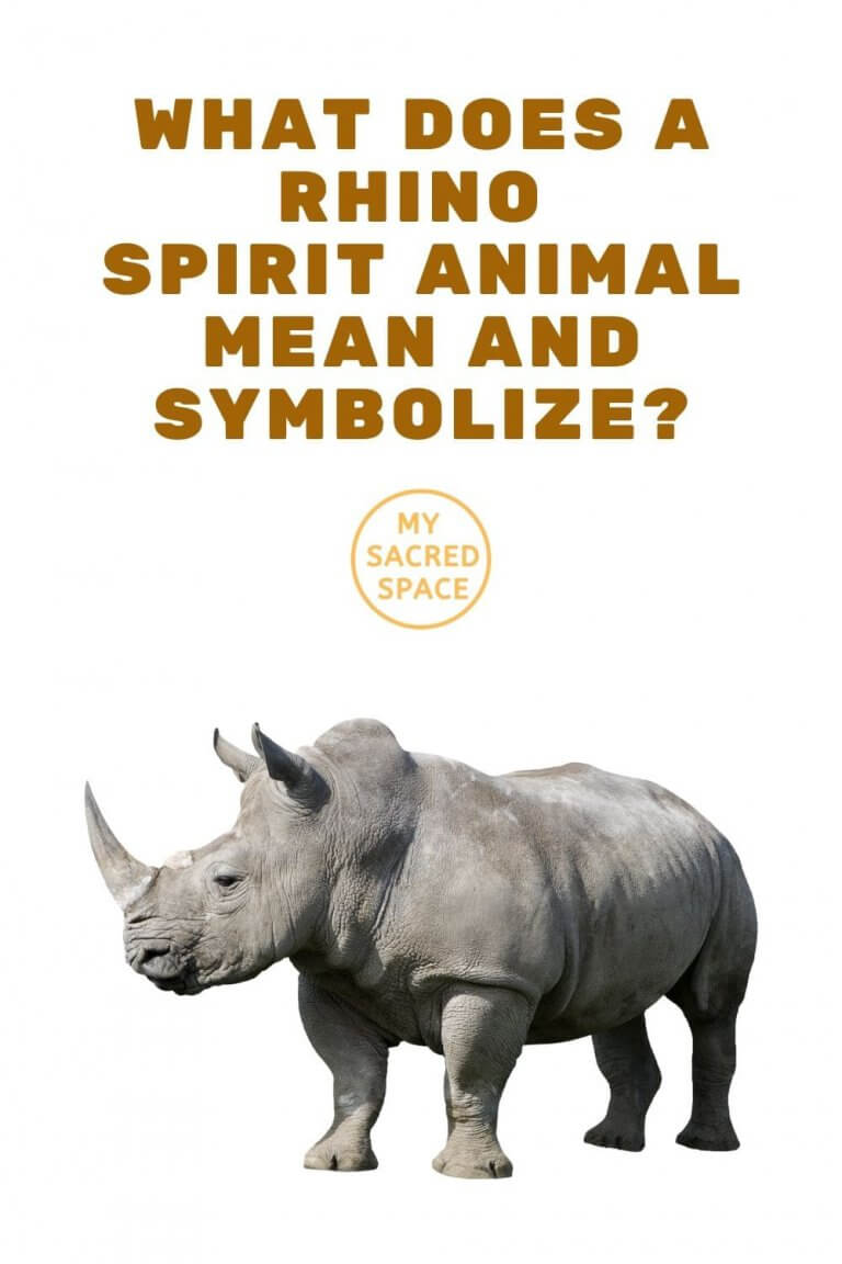 Spirit Animal Fox Meaning, and Symbolism - My Sacred Space Design