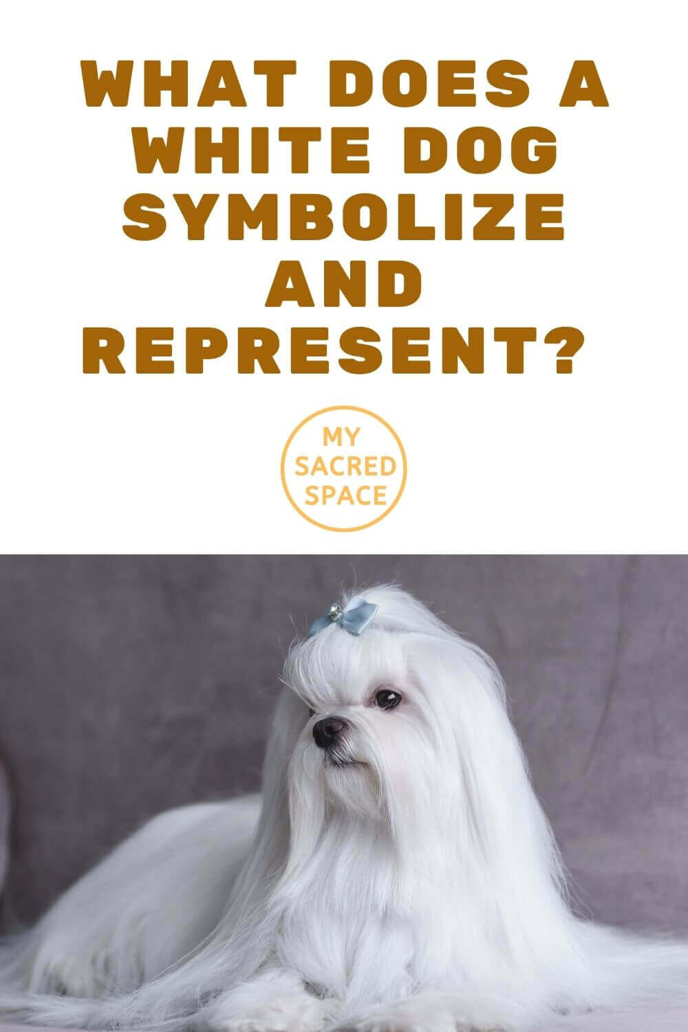 What Does a Dog Spirit Animal Mean and Symbolize?