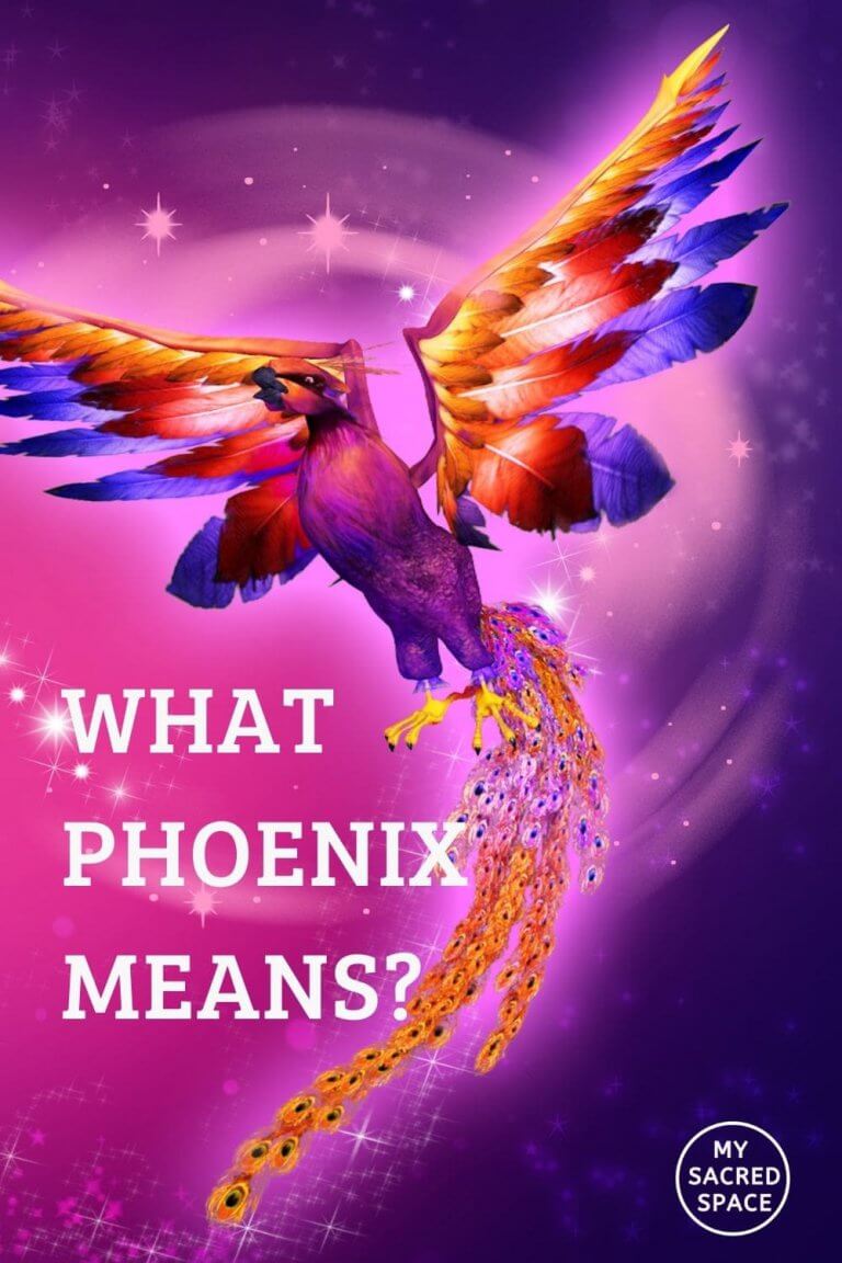 What Phoenix Means and What Does Phoenix Represent?